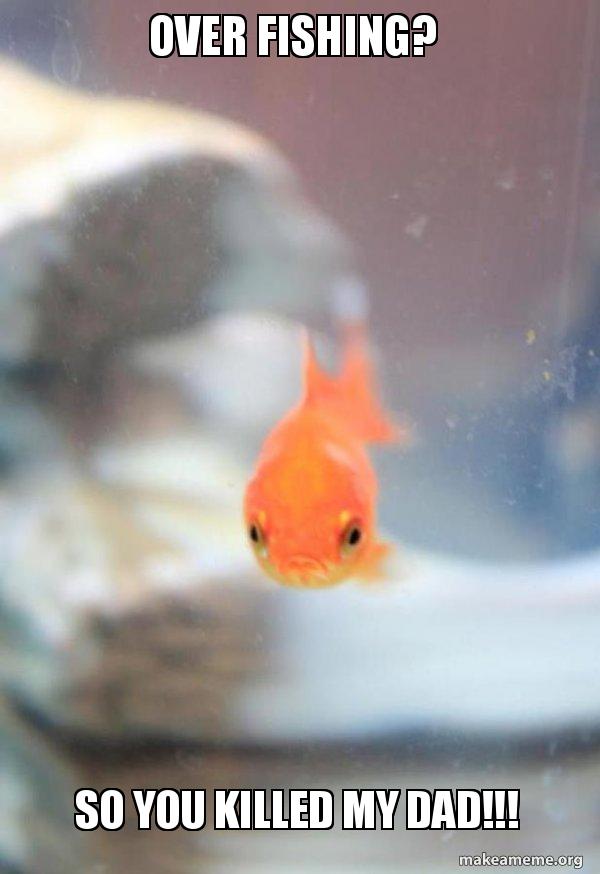 Over Fishing? So you killed my dad!!! - Grumpy Fish Meme Generator