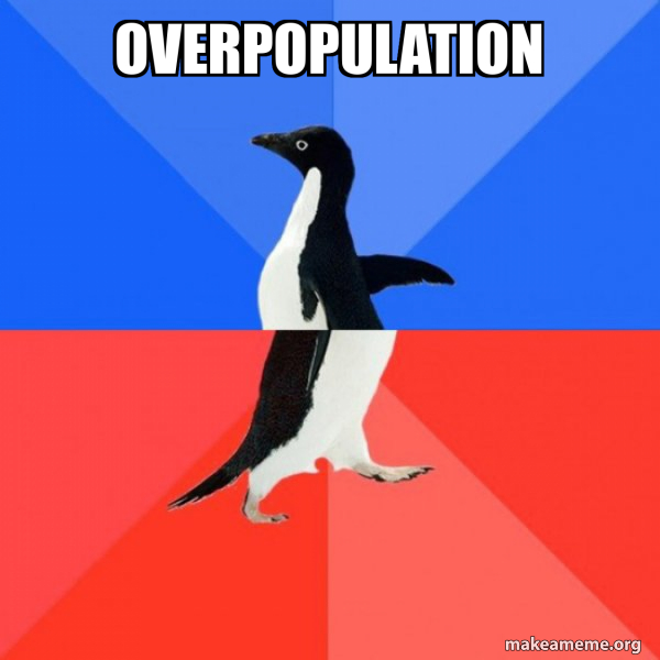 overpopulation - Socially Awkward Awesome Penguin Meme Generator