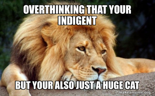overthinking that your indigent but your also just a huge cat ...
