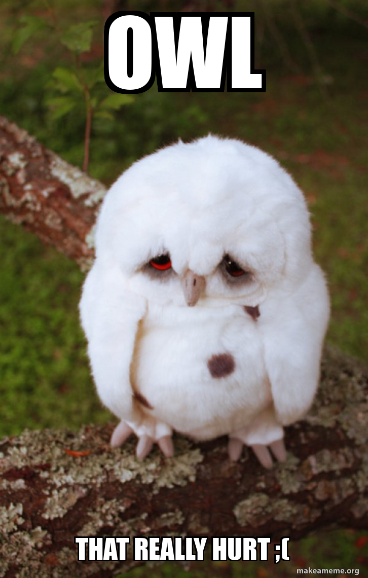 Owl that really hurt ;( - Sad Owl Meme Generator