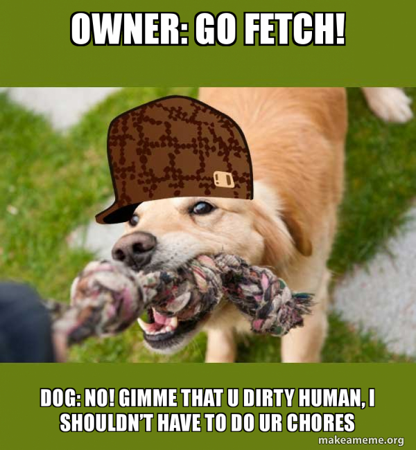 Owner: go fetch! Dog: No! Gimme that u dirty human, I shouldnâ€™t have ...