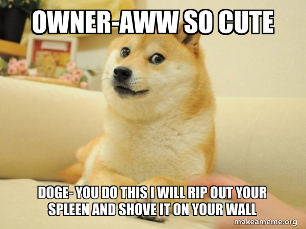 Owner-aww so cute Doge- you do this I will rip out your spleen and ...