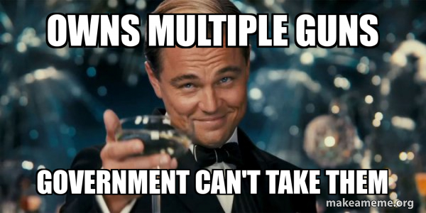 Owns Multiple Guns Government can't take them - Great Gatsby Reaction ...