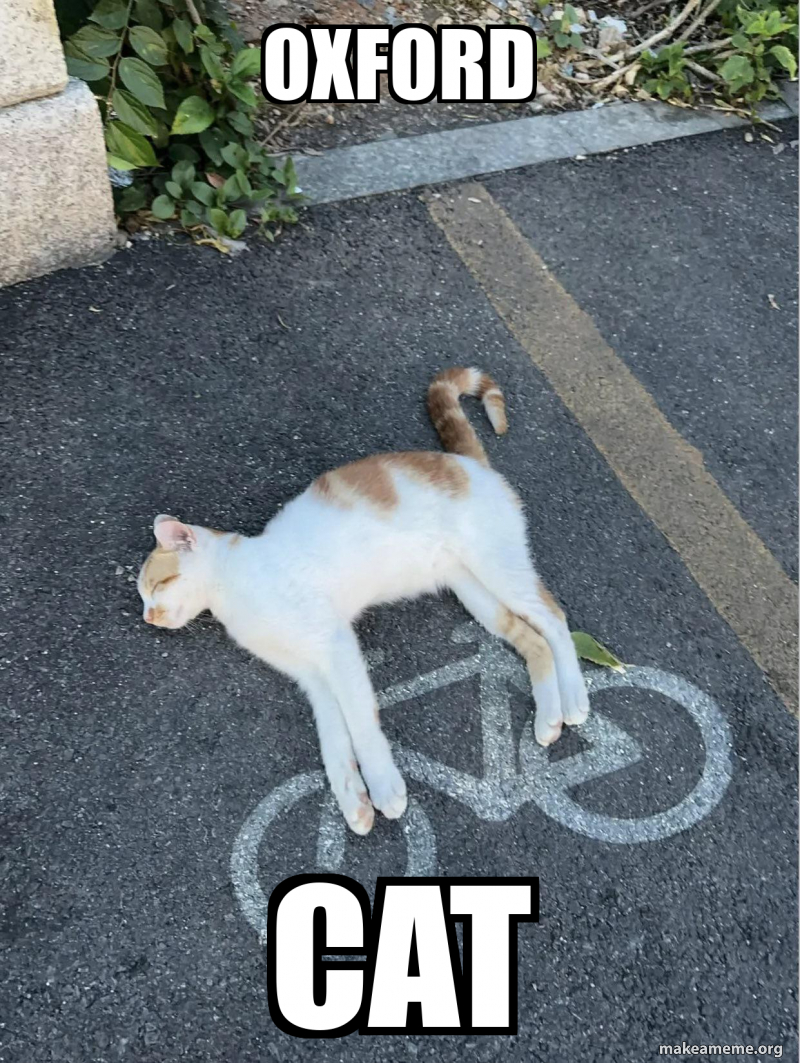 Oxford Cat - Oxford Cat Meme Generator