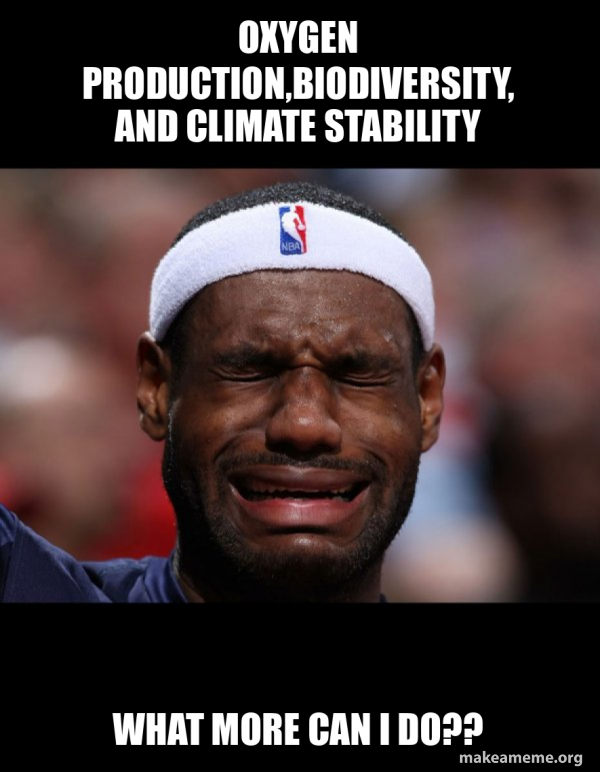 Oxygen production,Biodiversity, and Climate stability What more can I do?? - Lebron Crying Meme ...