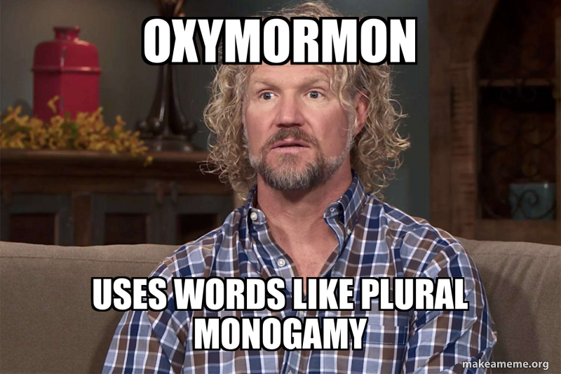 Oxymormon Uses words like plural monogamy Meme Generator