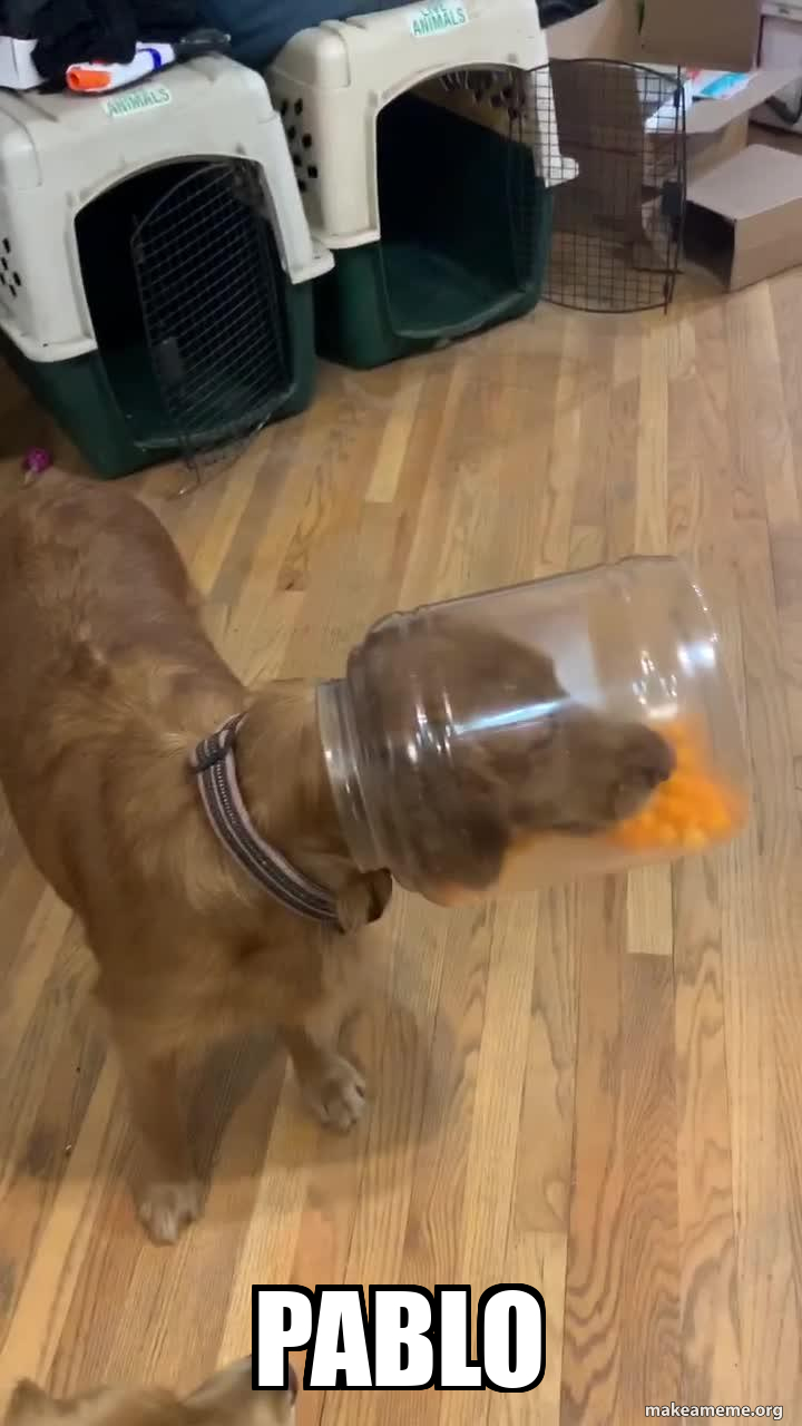 Pablo Meme Generator