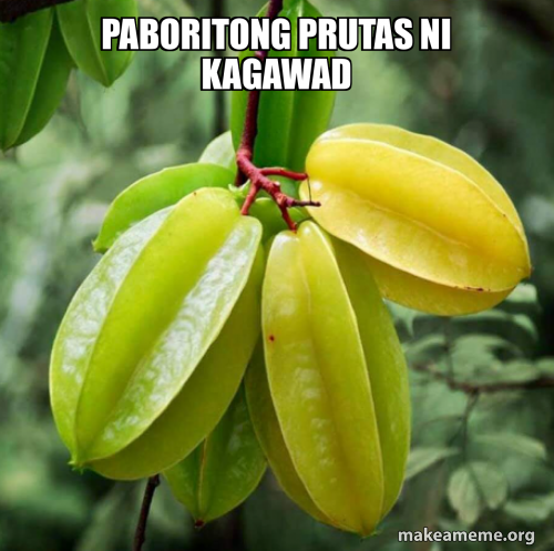 paboritong prutas ni kagawad Meme Generator