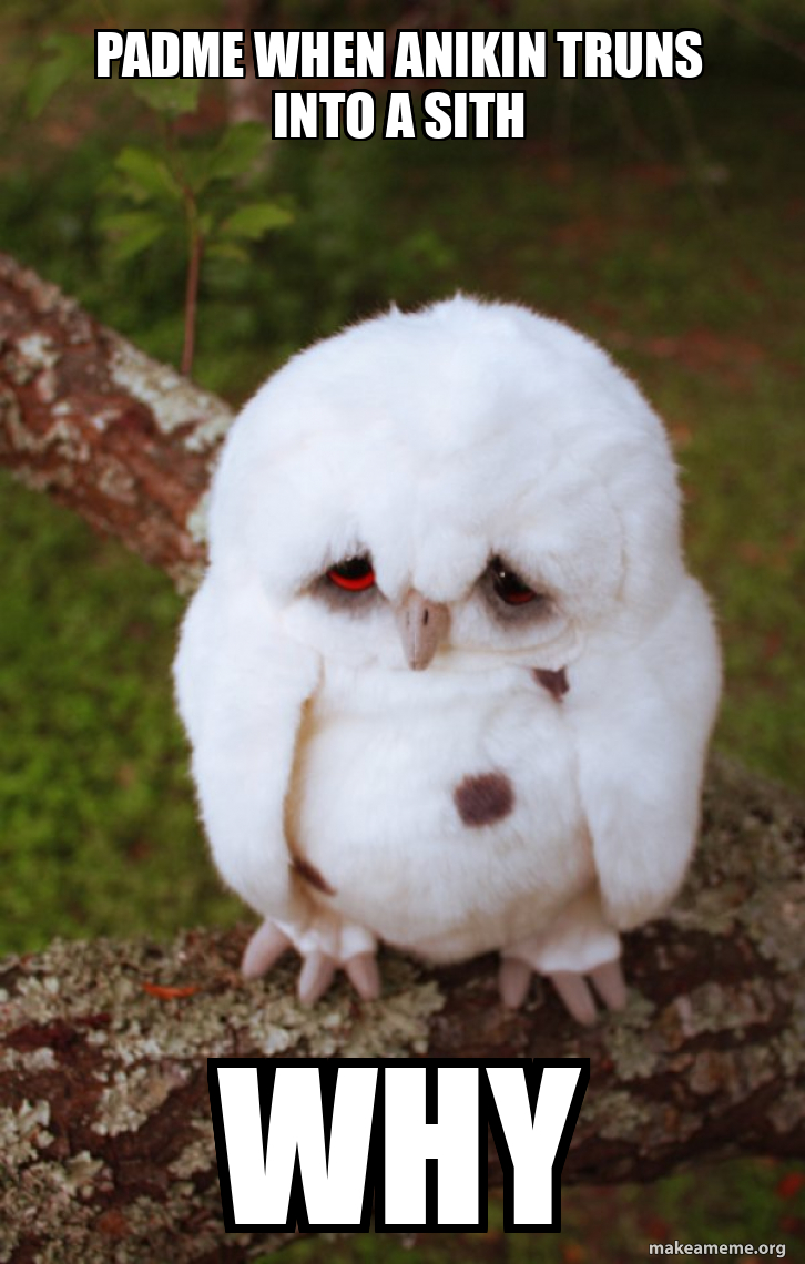 padme when anikin truns into a sith why - Sad Owl Meme Generator