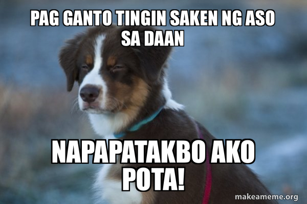 Pag ganto tingin saken ng aso sa daan Napapatakbo ako pota! - Unsure ...