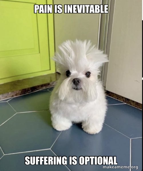 Pain is INEVITABLE Suffering is optional Meme Generator