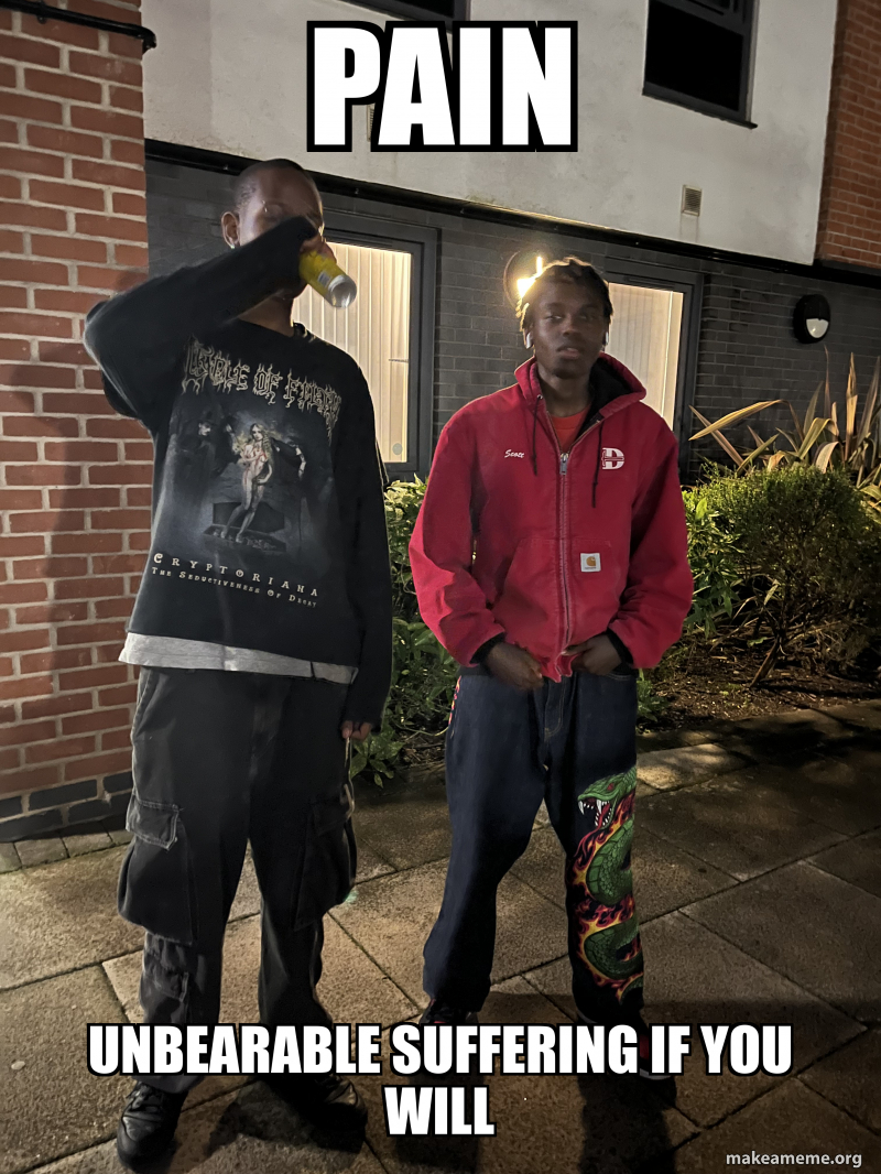 Pain Unbearable suffering if you will Meme Generator