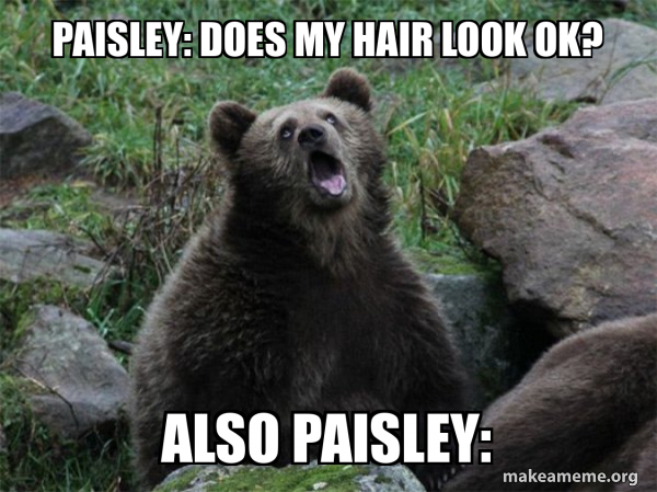 Paisley: Does my hair look ok? Also Paisley: - Sarcastic Bear Meme ...