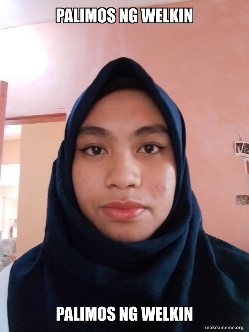 palimos ng welkin palimos ng welkin Meme Generator