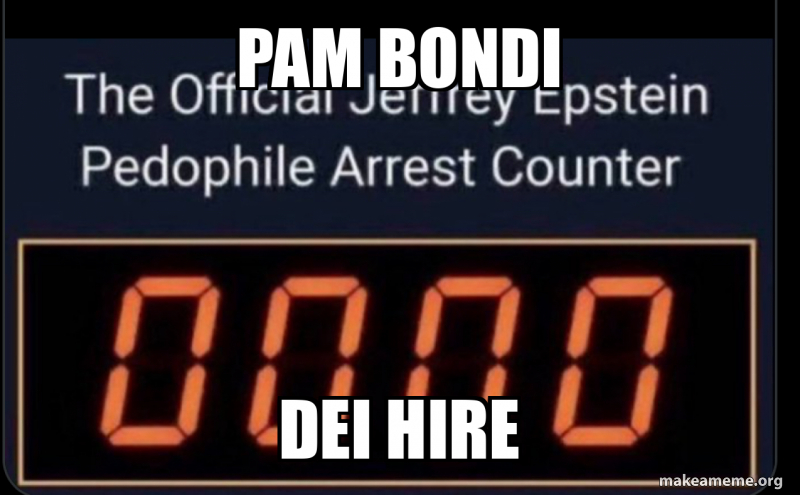 Pam bondi Dei hire Meme Generator