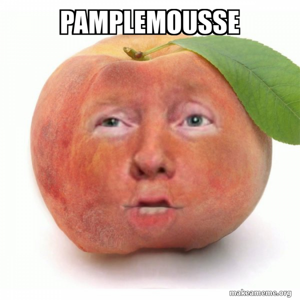 pamplemousse - Impeached Donald Trump Meme Generator