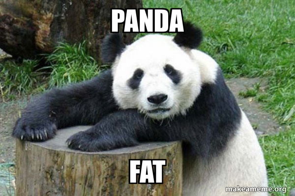 PANDA FAT - Confession Panda Meme Generator
