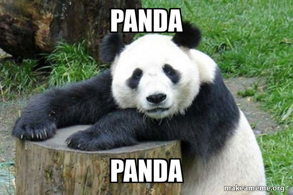 Panda Panda - Confession Panda Meme Generator