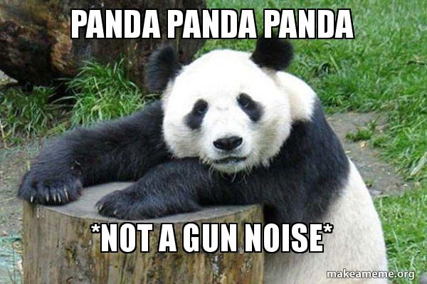PANDA PANDA PANDA *NOT A GUN NOISE* - Confession Panda Meme Generator