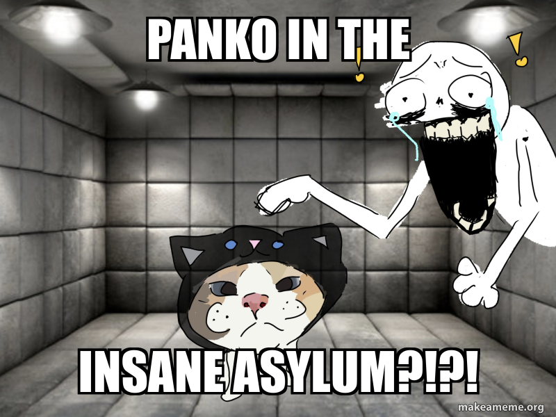 Panko in the Insane asylum?!?! Meme Generator