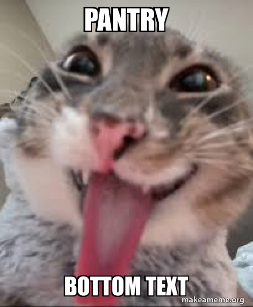 Pantry bottom Text Meme Generator