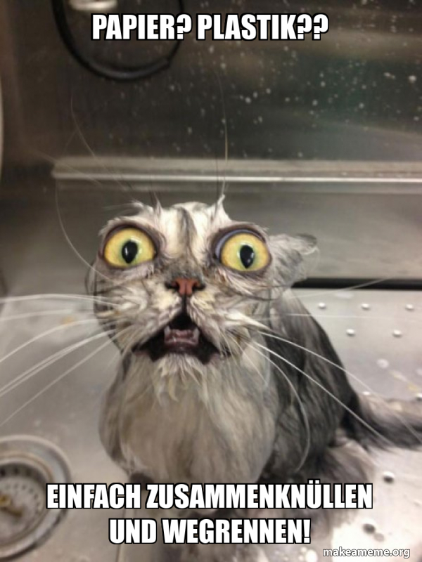 Papier? Plastik?? Einfach zusammenknüllen und wegrennen! - Cat bath ...