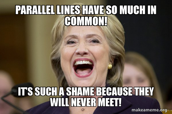 Parallel Lines Have So much In Common! It's Such a Shame Because They ...