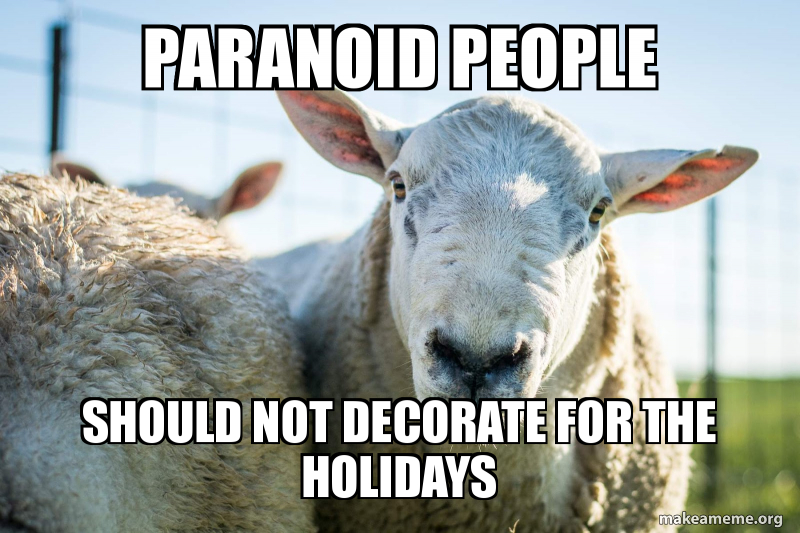 Paranoid people should not decorate for the holidays Meme Generator