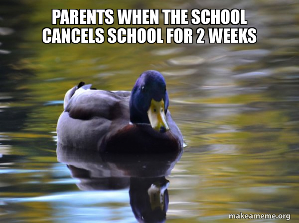 parents when the school cancels school for 2 weeks - Zen Advice Mallard ...