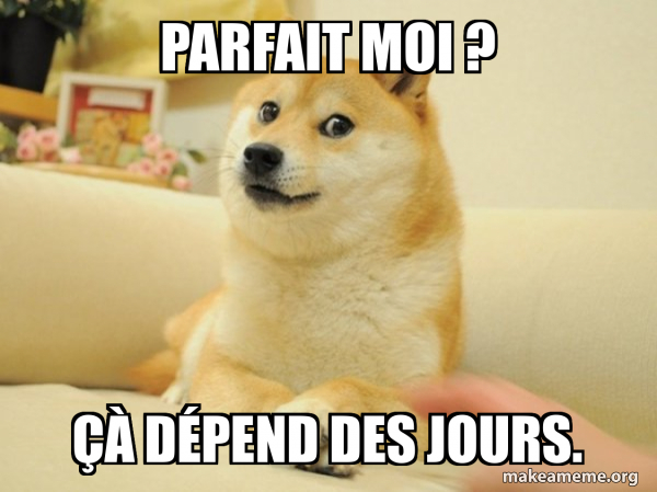 Parfait moi ? Çà dépend des jours. - Doge Meme Generator