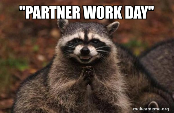 "Partner work day" - Evil Plotting Raccoon Meme Generator
