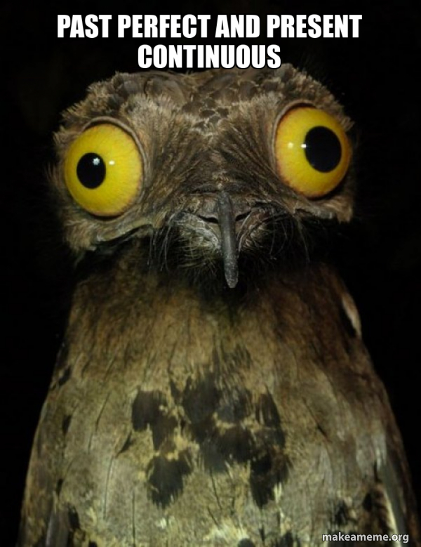 Past perfect and present continuous - Weird Stuff I do Potoo Meme Generator