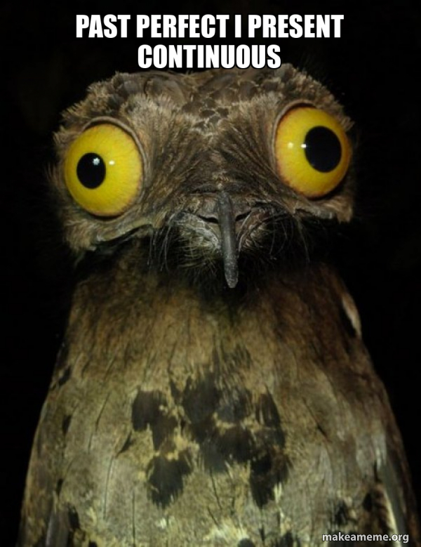 Past perfect i present continuous - Weird Stuff I do Potoo Meme Generator