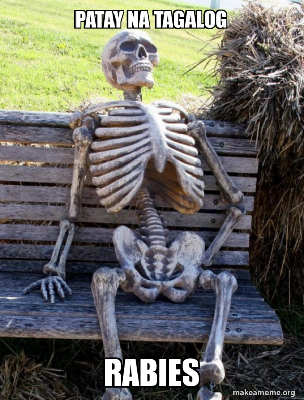 Patay na tagalog Rabies - Waiting Skeleton Meme Generator