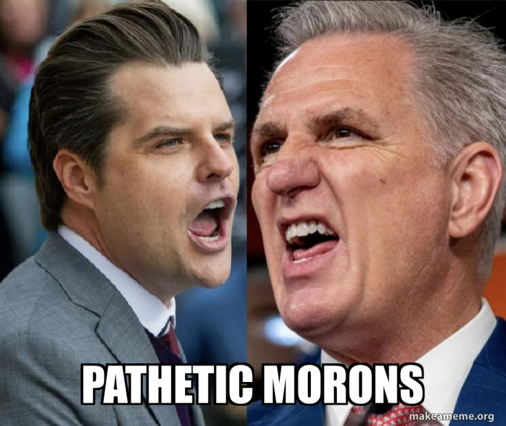 pathetic morons Meme Generator