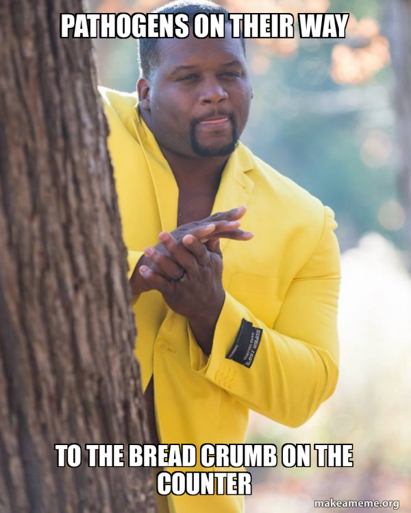 Pathogens on their way to the bread crumb on the counter - Anthony ...