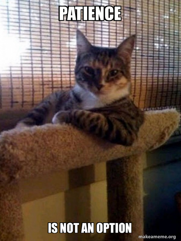 Patience Is not an option - The Most Interesting Cat in the World Meme ...