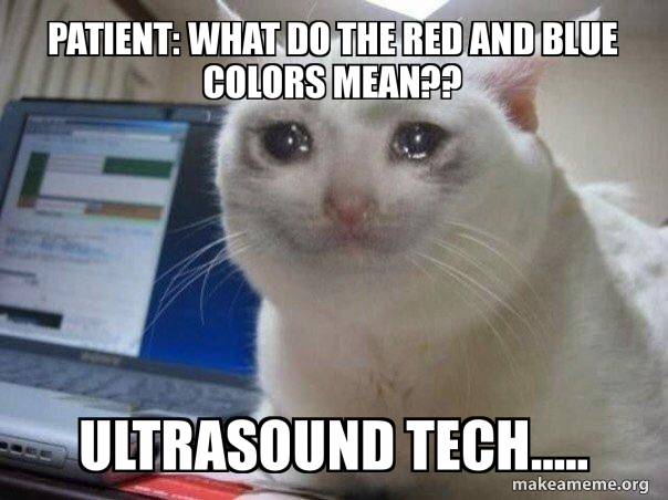 PATIENT: WHAT DO THE RED AND BLUE COLORS MEAN?? Ultrasound tech ...