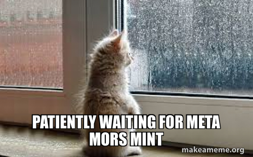 Patiently waiting for Meta mors mint Meme Generator