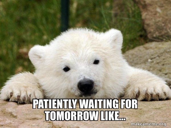 patiently waiting for tomorrow like... - Popular Opinion Bear Meme ...