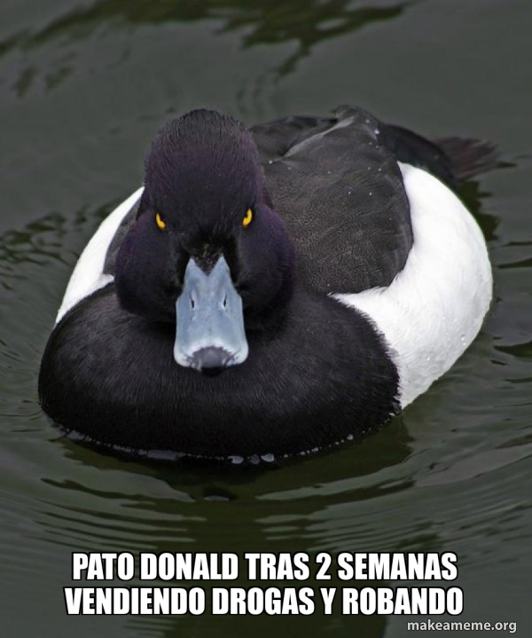 pato donald tras 2 semanas vendiendo drogas y robando - Revenge Duck ...