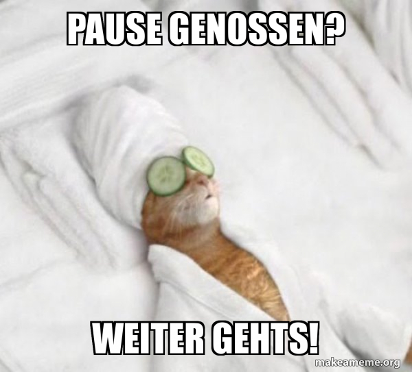 Pause genossen? Weiter gehts! - Pampered Cat Meme Meme Generator