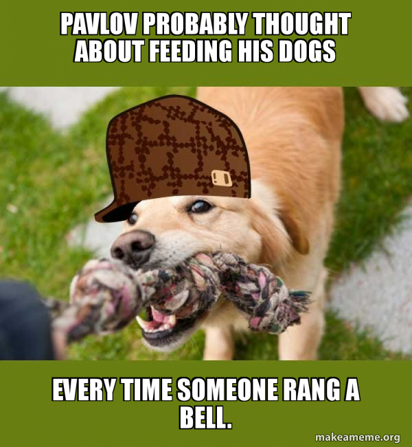 Pavlov probably thought about feeding his dogs every time someone rang ...