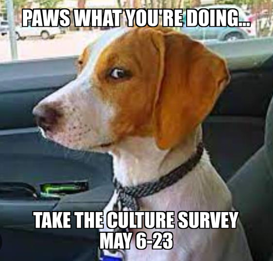 Paws what you're doing... take the culture survey may 6-23 Meme Generator