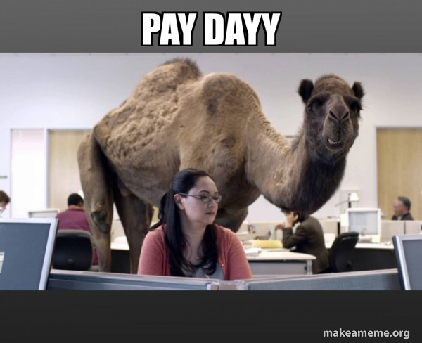 pay dayy - Hump Day Camel Meme Generator