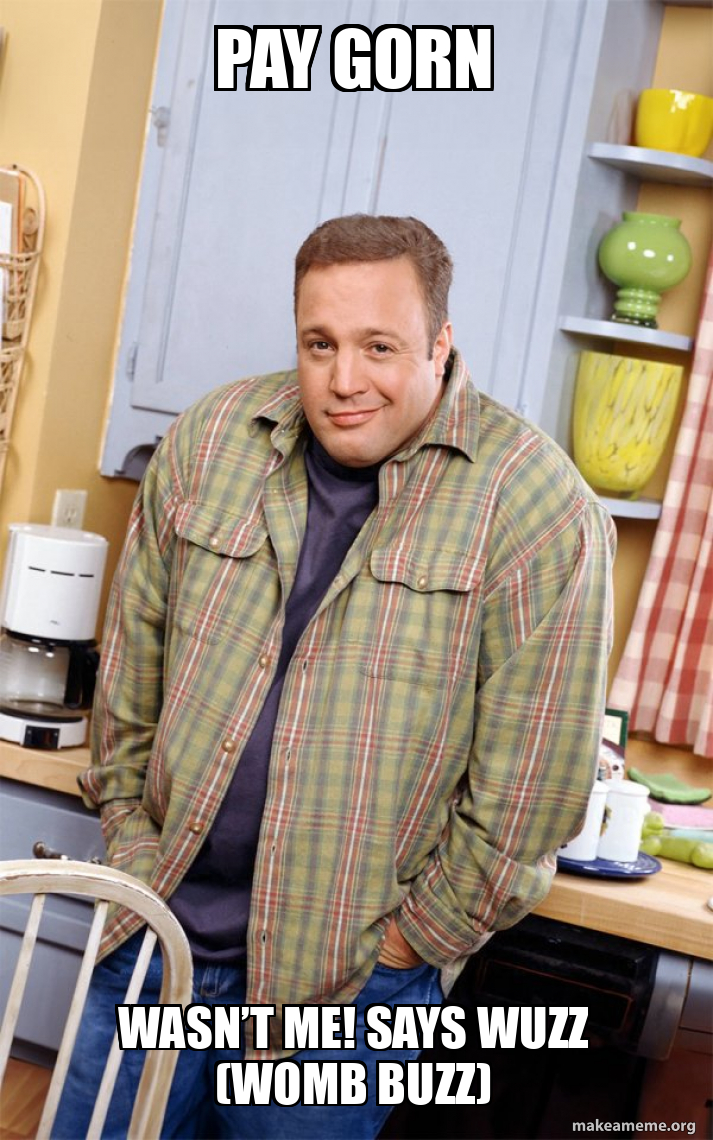 Pay gorn Wasn’t me! Says wuzz (Womb buzz) - Kevin James Meme Generator