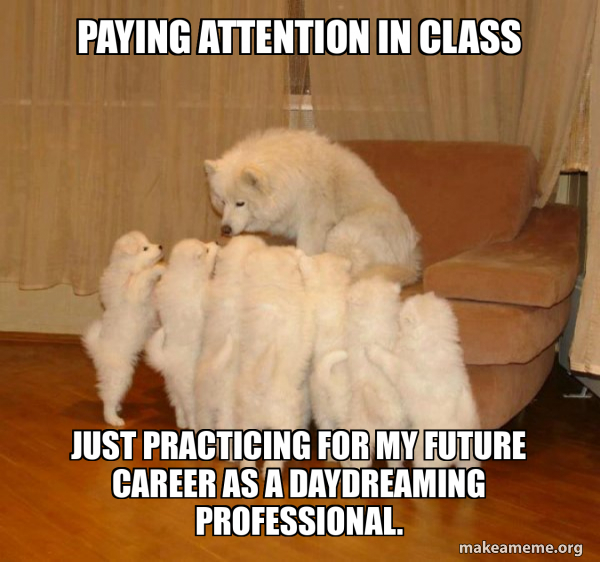 Paying attention in class Just practicing for my future career as a ...