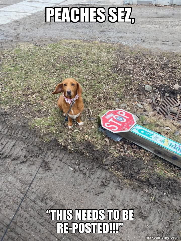 PEACHES SEZ, “THIS NEEDS TO BE RE-POSTED!!!” Meme Generator