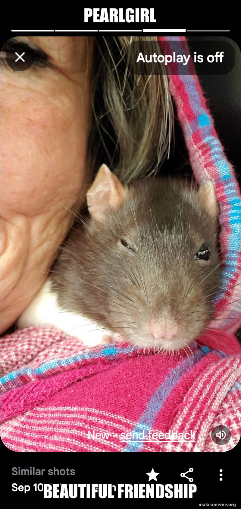 Pearlgirl Beautiful friendship Meme Generator