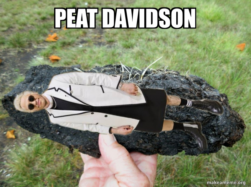 PEAT DAVIDSON Meme Generator